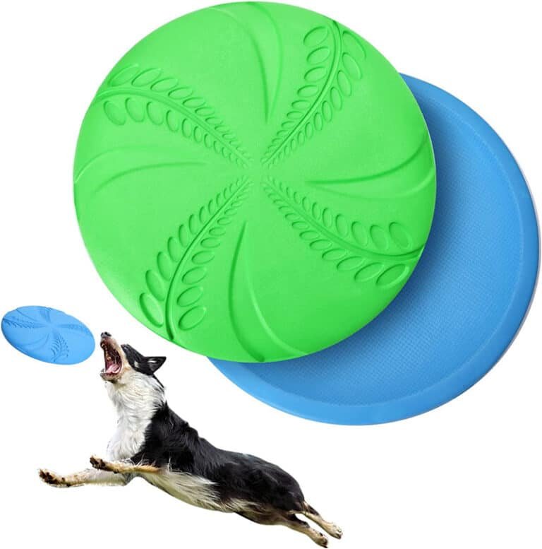 Flying Discs for Dogs